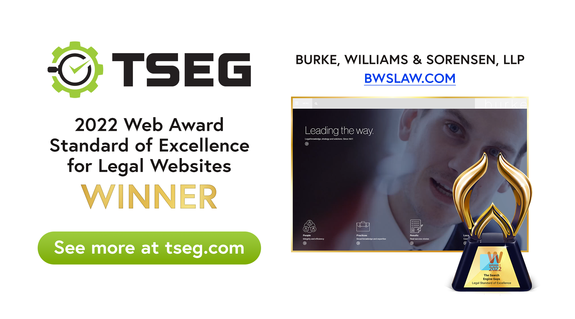 TSEG Wins Web Award for Legal Standard of Excellence